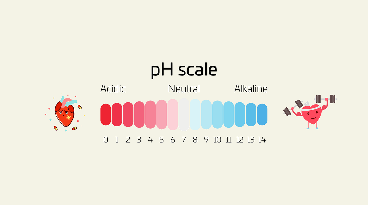 The Link Between Alkaline Foods and Body Health | by ...