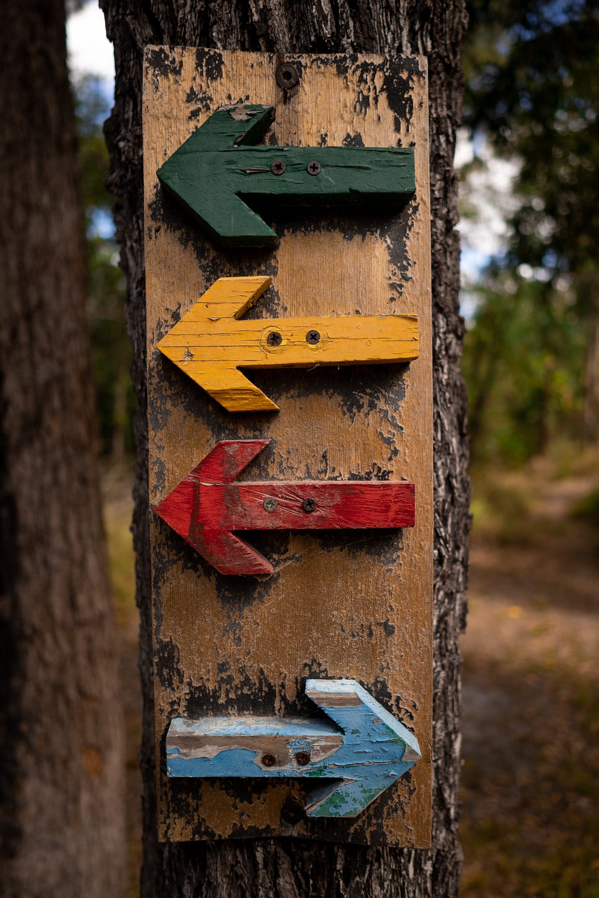 Backtracking Algorithm. Backtracking is a general algorithm… | by Ronan ...
