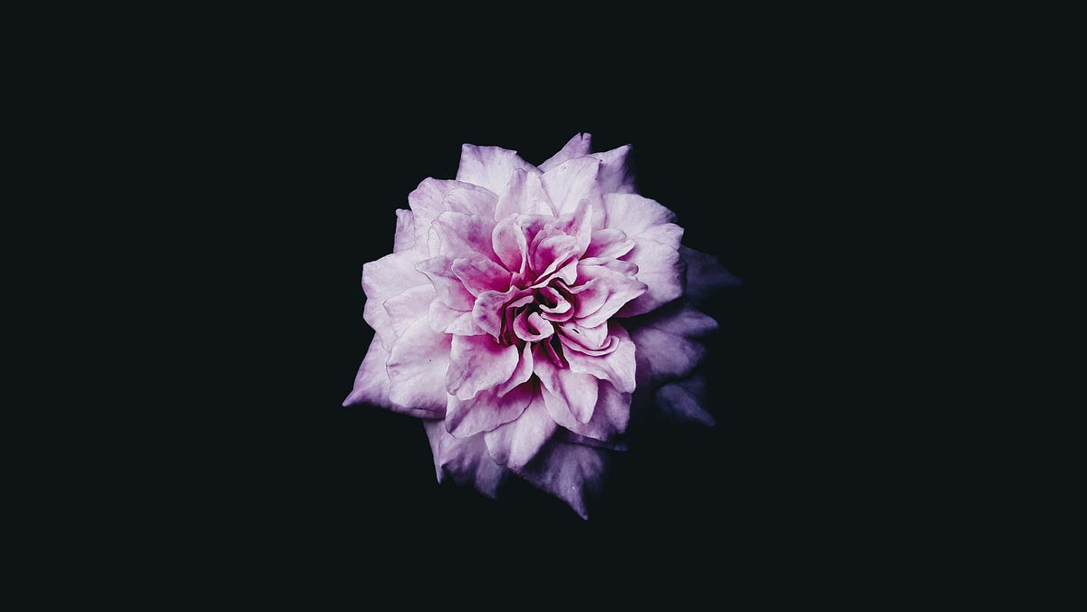 Metamorphosis, Apotheosis. Peeling off the skin on your face The… | by ...