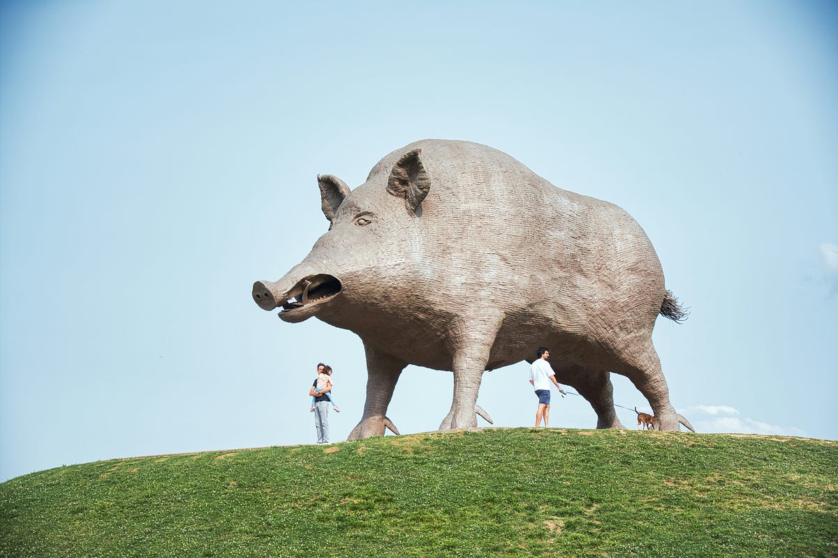Meleager and the Calydonian Boar. A Cruel Twist of Fate | by Tom ...