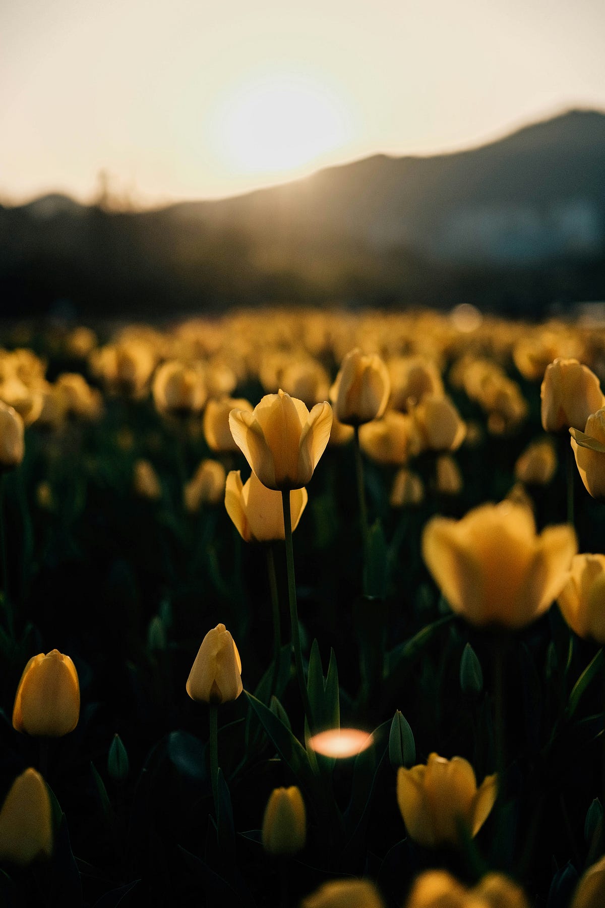 Being Kind. to yourself | by Vinitha Dileep | Blue Insights | Medium