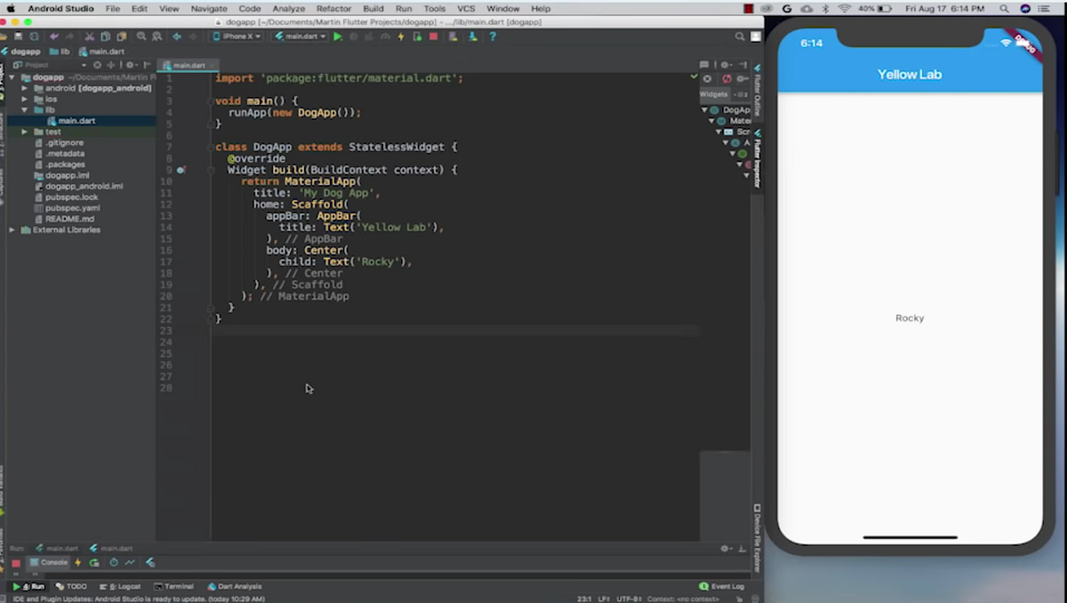How to Create Stateless Widgets. When getting started with Flutter, one… | by Martin Aguinis ...