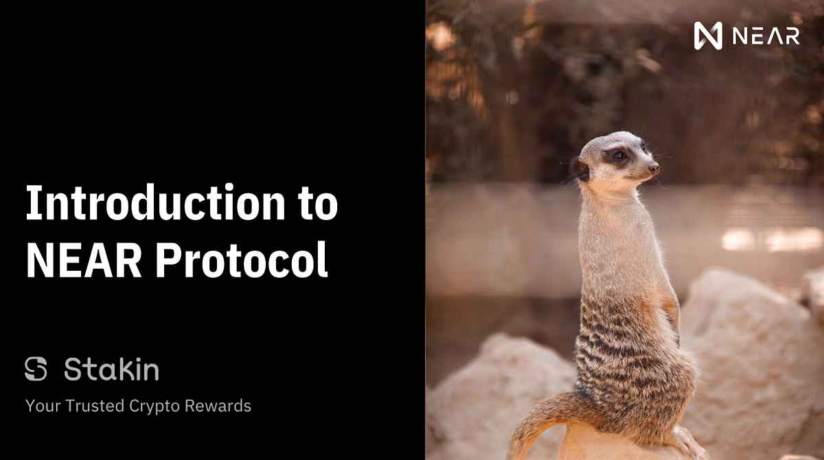 An Introduction to Near Protocol. A Quick Guide & Overview of The… | by ...