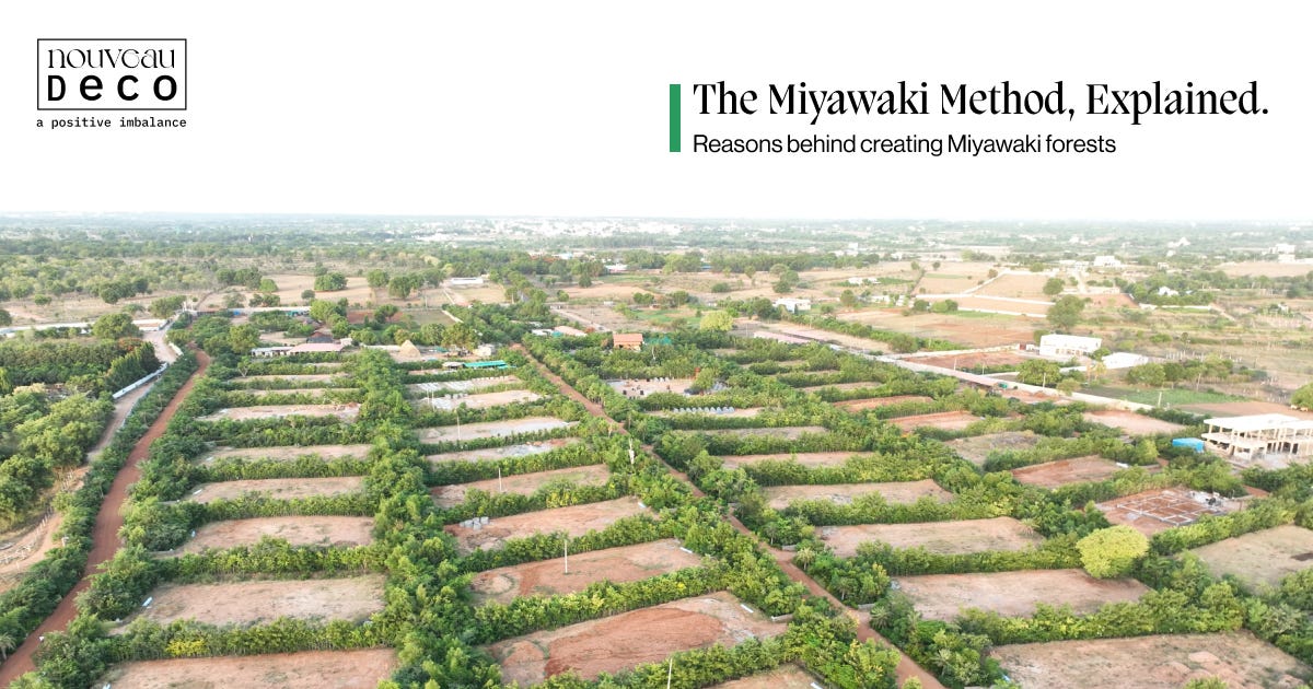 What is the Miyawaki method & why is it important? | by Stonecraft Group | Medium