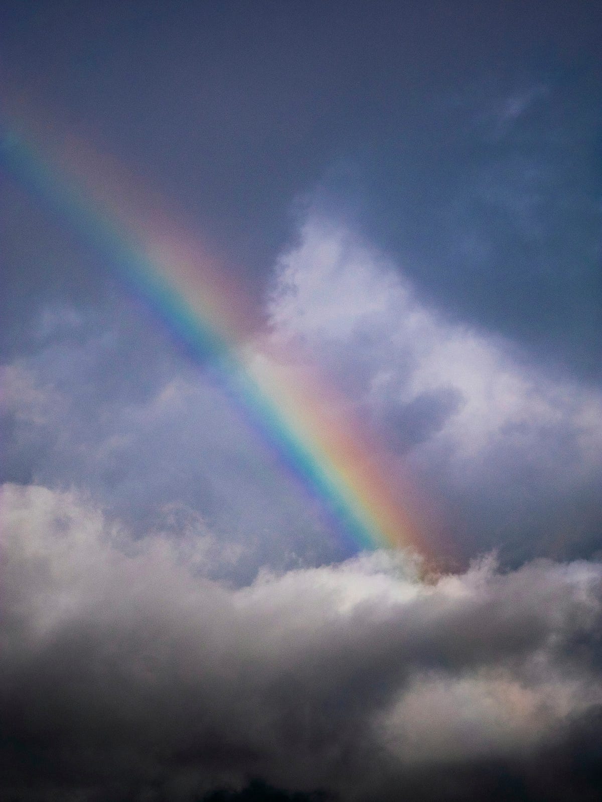 The Seven Colors of Life: What Really Matters Most | by The Rahane ...
