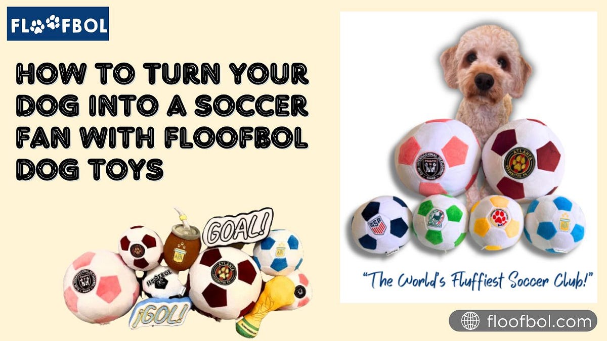 How to Turn Your Dog Into a Soccer Fan with Floofbol Toys | by Floofbol ...