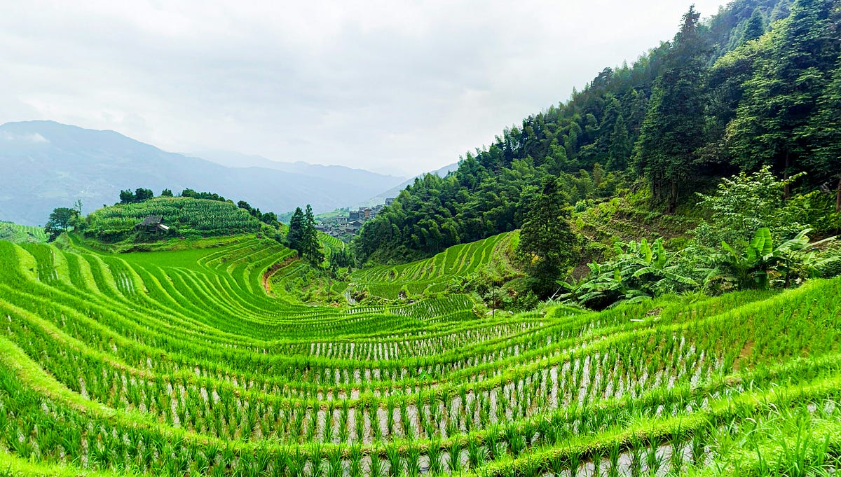 Zhuangzi — Self Help from 286 BCE | by Unearned Wisdom | Medium