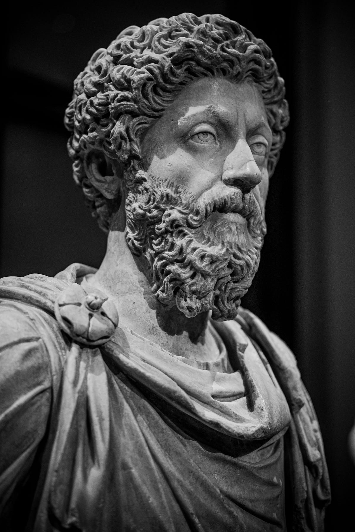 Joseph and Marcus Aurelius. On vengeance | by The One Alternative View ...