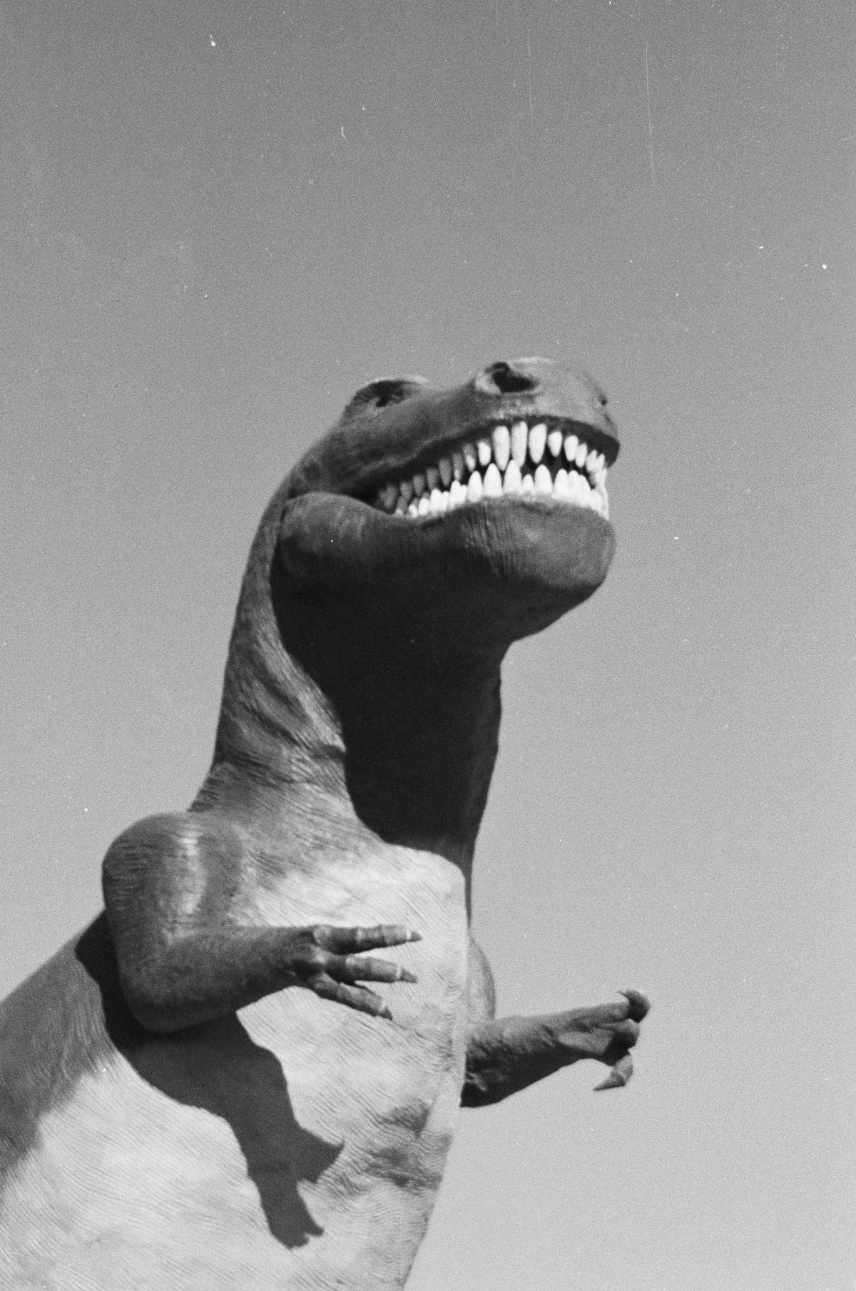 Trumposaurus Rex. How much havoc can he wreak? | by Gary A J Martin ...