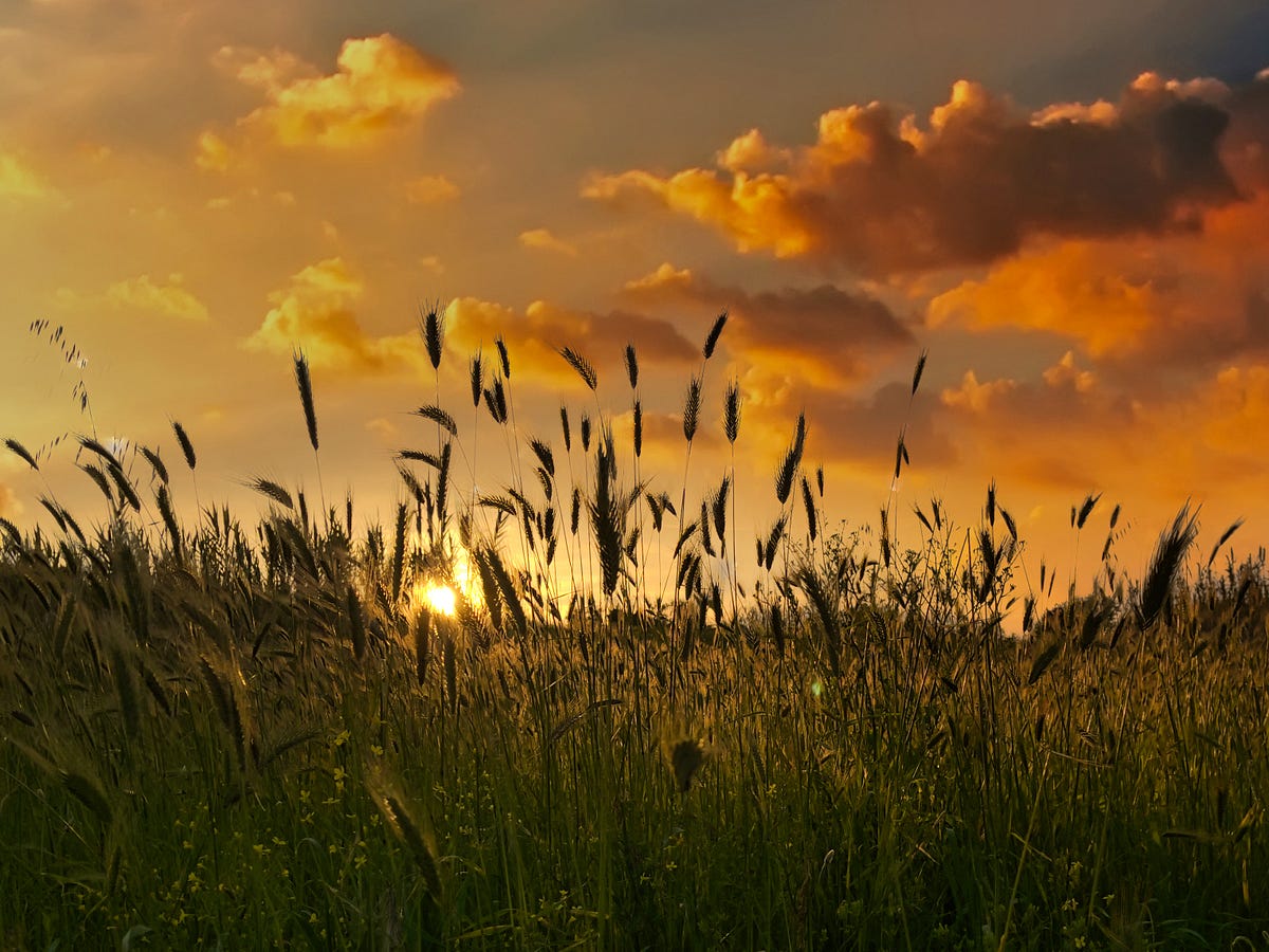 What Is Spirituality?. Where Do We Begin Part 1 | by Tabitha Low | Medium