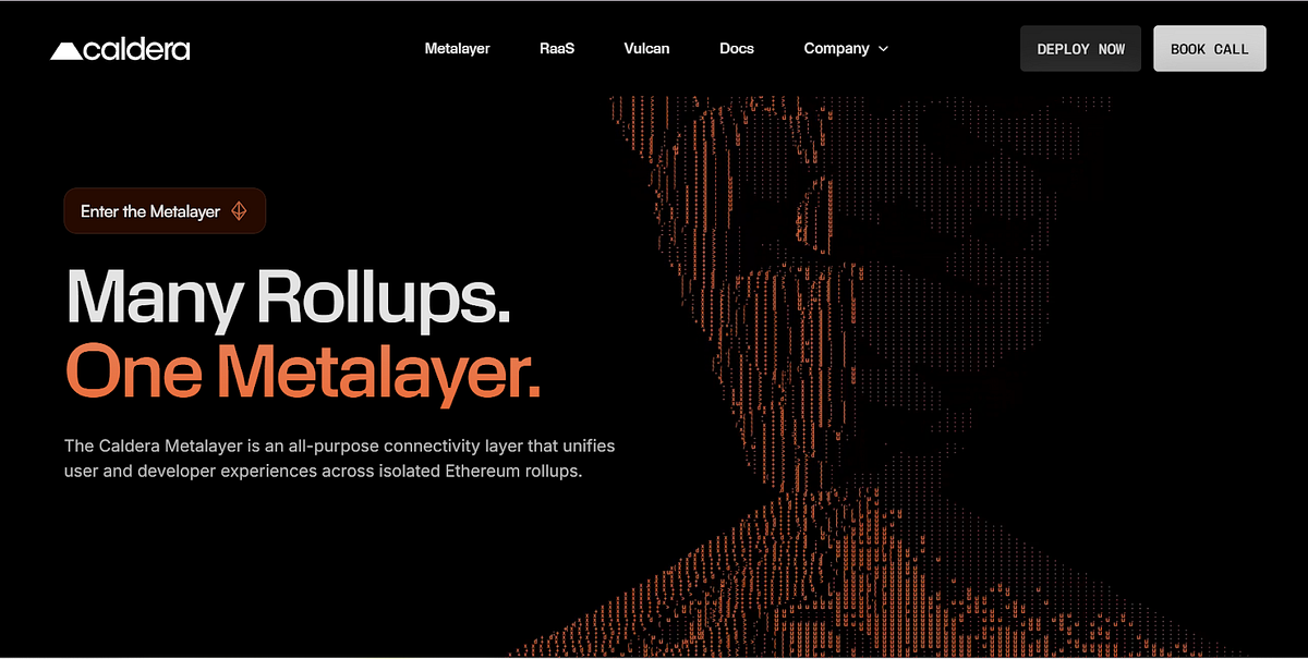 Metalayer: A Universal Abstraction Layer by Caldera | by Bluephase | Medium