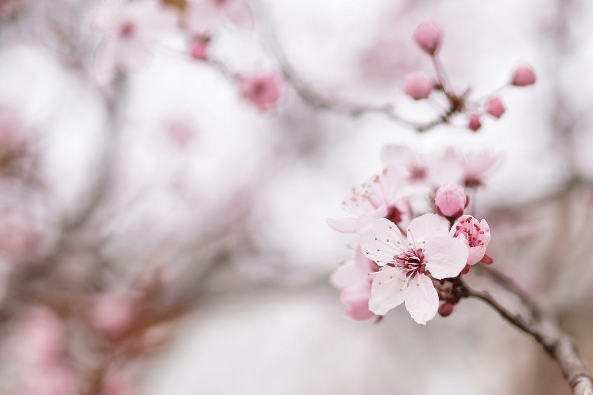 The Quiet Way I Grew Up. Growing up, I learned to keep my… | by Ya_Aina | Writers Ocean | Jan ...