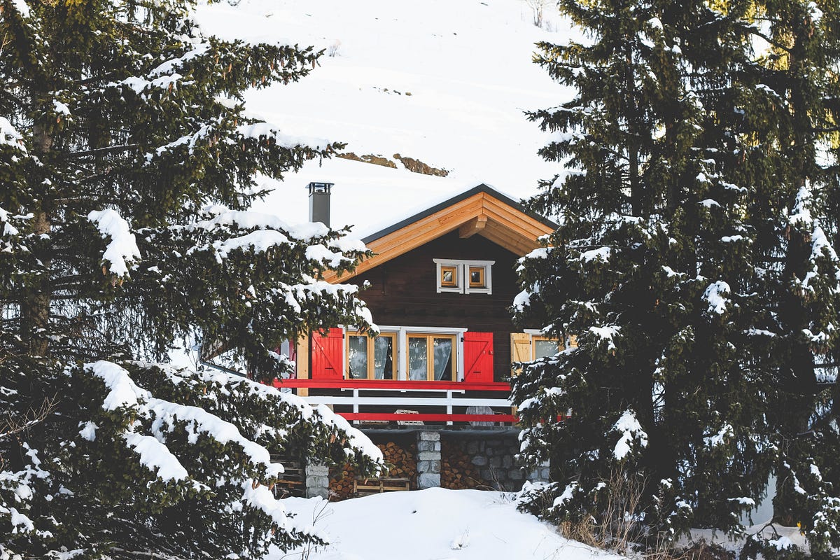 Tiede Cabin Murders Rips Through a Family — True Crime | by Lisa Marie ...
