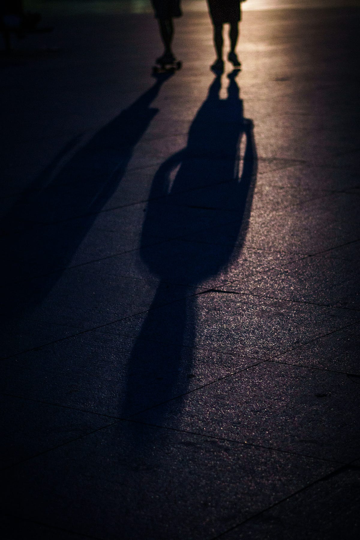 How Shadows Keep Secrets. The quiet language of shadows and the… | by ...