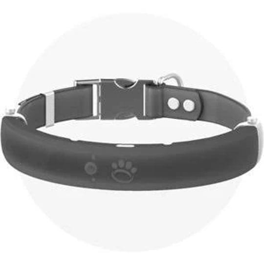 Halo Collars 3 | by Brenda Rivera | Jul, 2024 | Medium