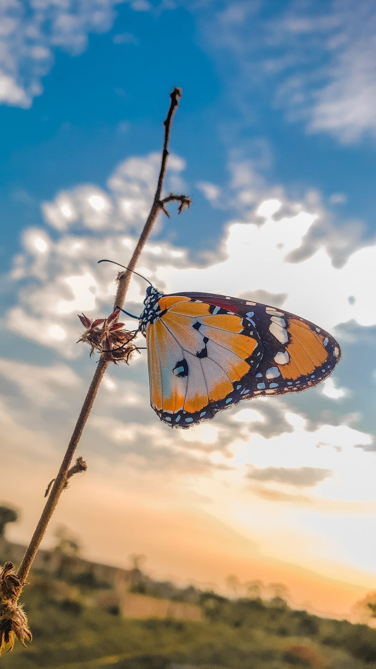 Leadership Alchemy: Turning Micromanagement into Empowerment | by ...