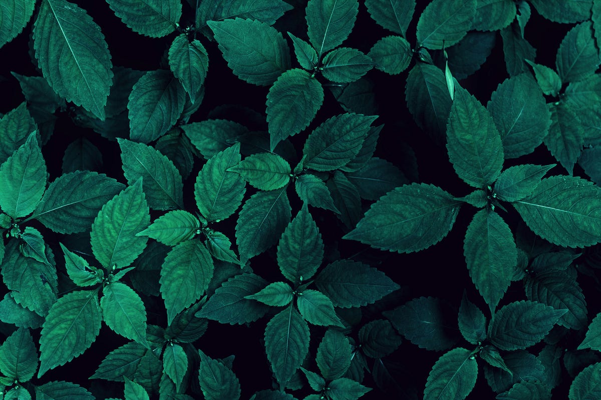 Oread. A modern retelling of the myth of… | by Ruth Boukhari ...