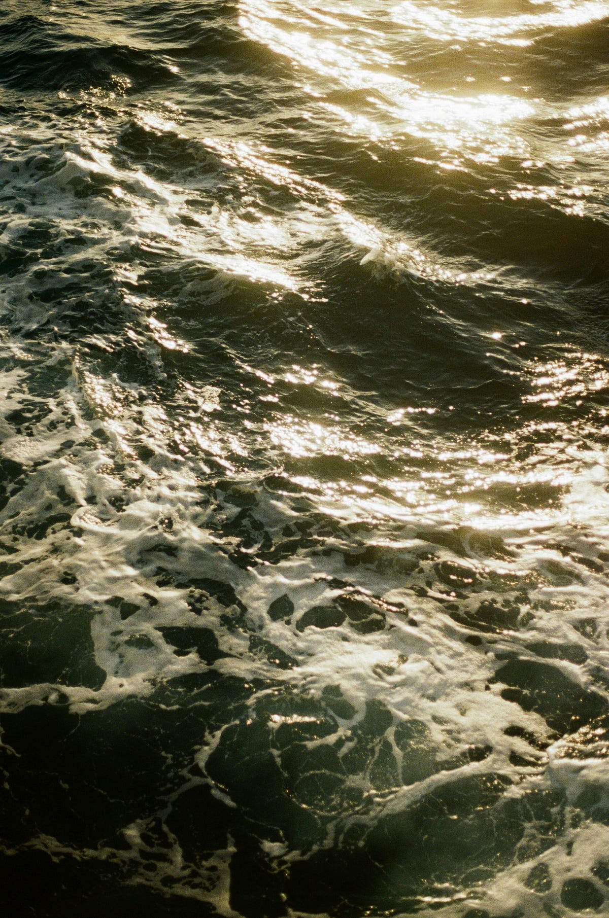 Living in the Shadow. growing up with constant comparisons… | by y ...