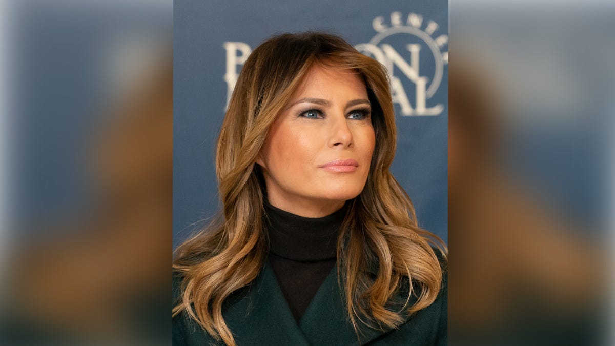 What is Melania Trump’s NFT Business: Unveiling the Digital Venture | by Mahmudul Hasan | Jul ...