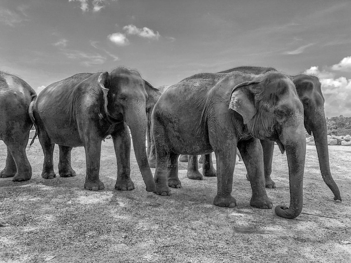 Runbook Optimally Implementing Full Outer Join On Non Key Values In Postgresql By Shiv Iyer