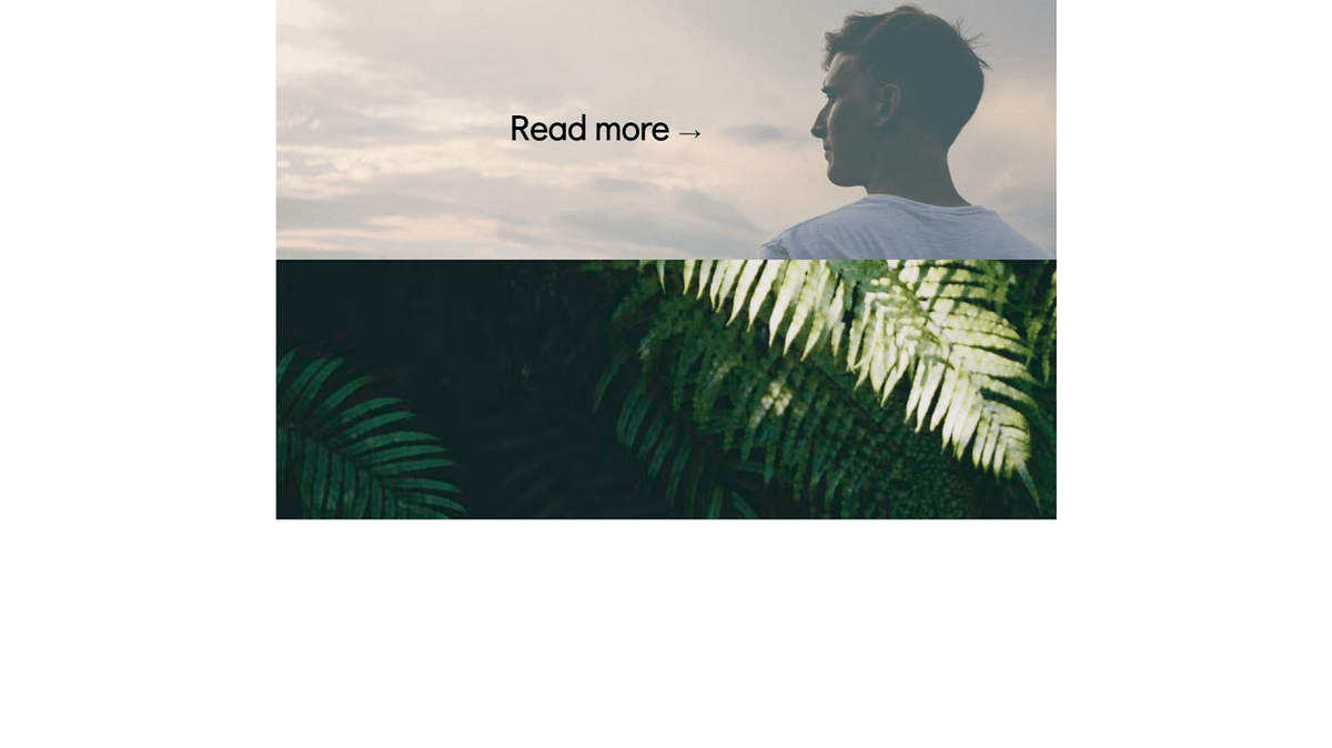 16 CSS Image Effect Examples and Code | by AppCode | Medium