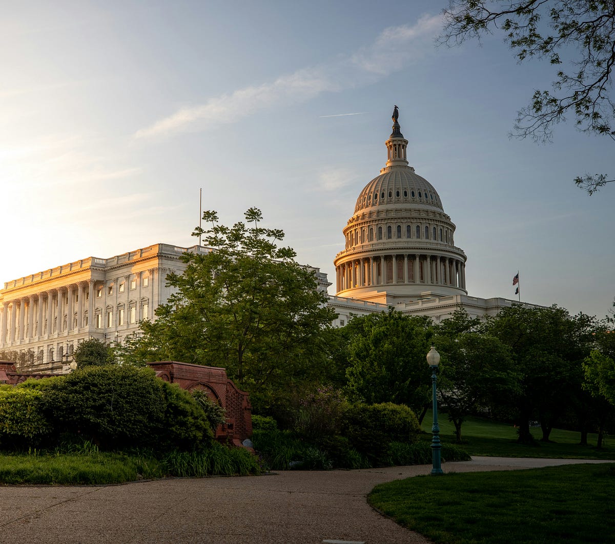 The Dangers of Gerontocracy in American Government | by Avinash ...