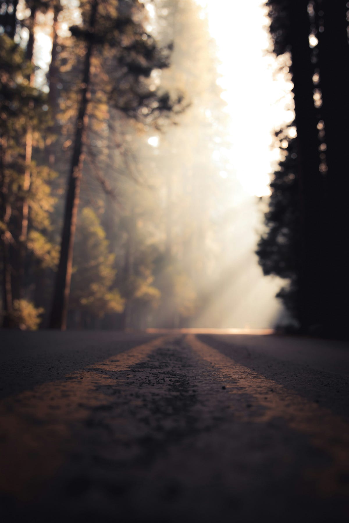 Why Islam Is the Truth?. Prophecies of Muhammad ﷺ in The Bible | by Itz.Ruhma I | Readers Club ...