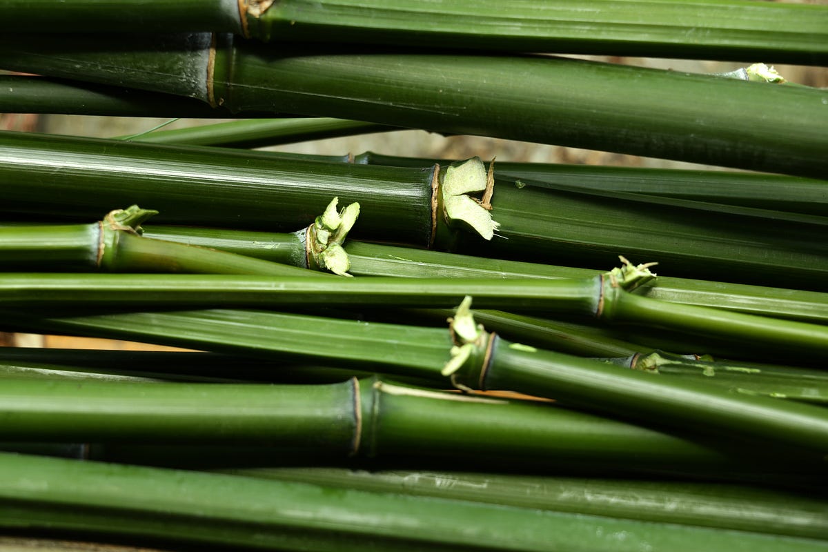 String Vectorization with Pandas: A Practical Guide | by Arli | Level Up Coding