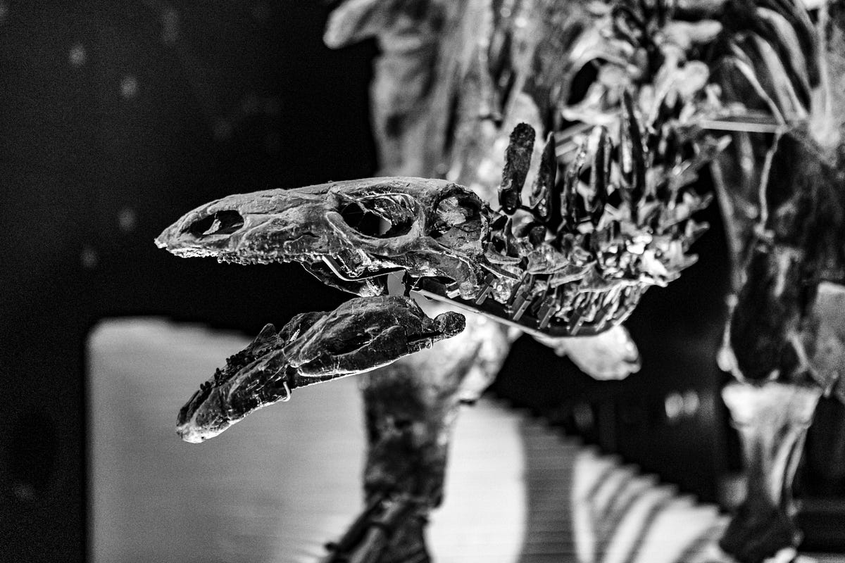 Guide to London Science Museums - Chiro Adsmedia - Medium