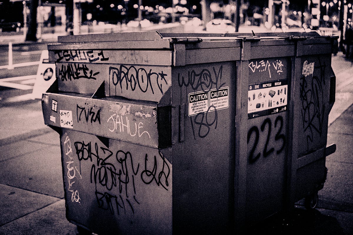 The Dumpster Dress. One woman’s trash is another woman’s… | by Dana Stankovic | Bouncin’ and ...