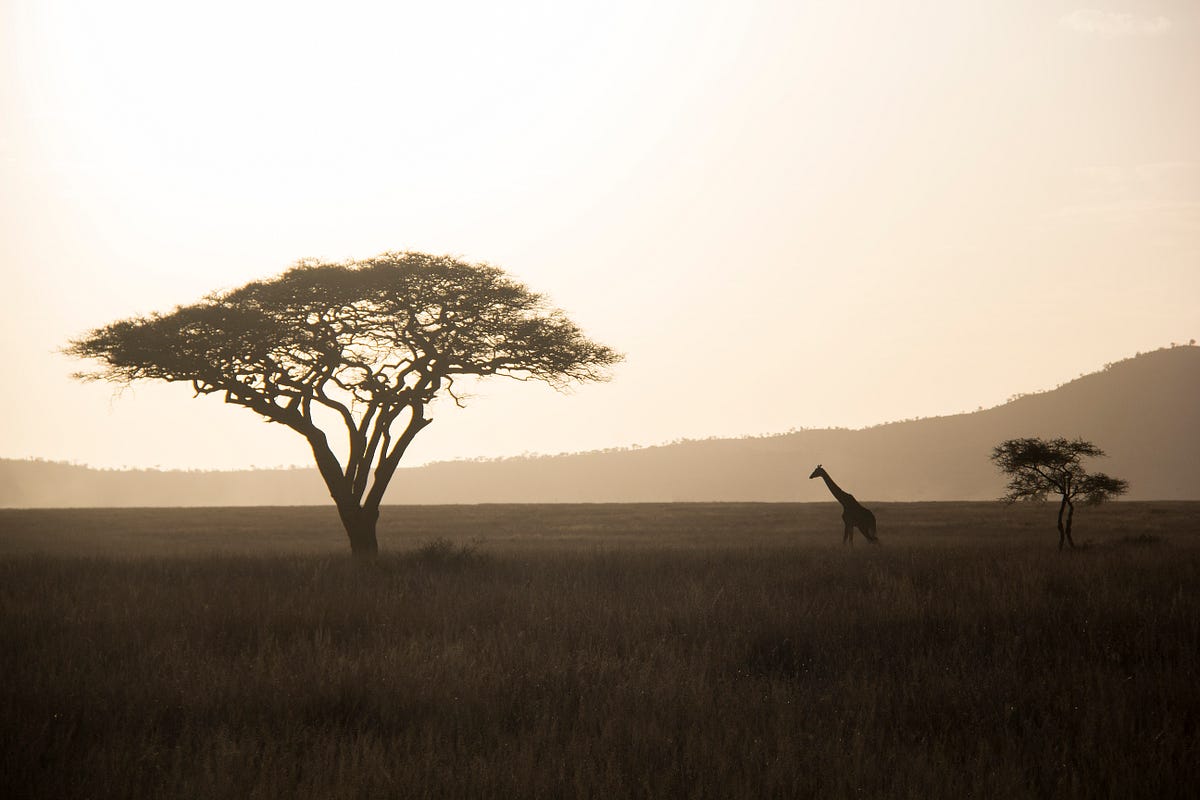 How Visiting Tanzania Helped Me Become a Better Human Being | by Marcus Szymanski | Ascent ...