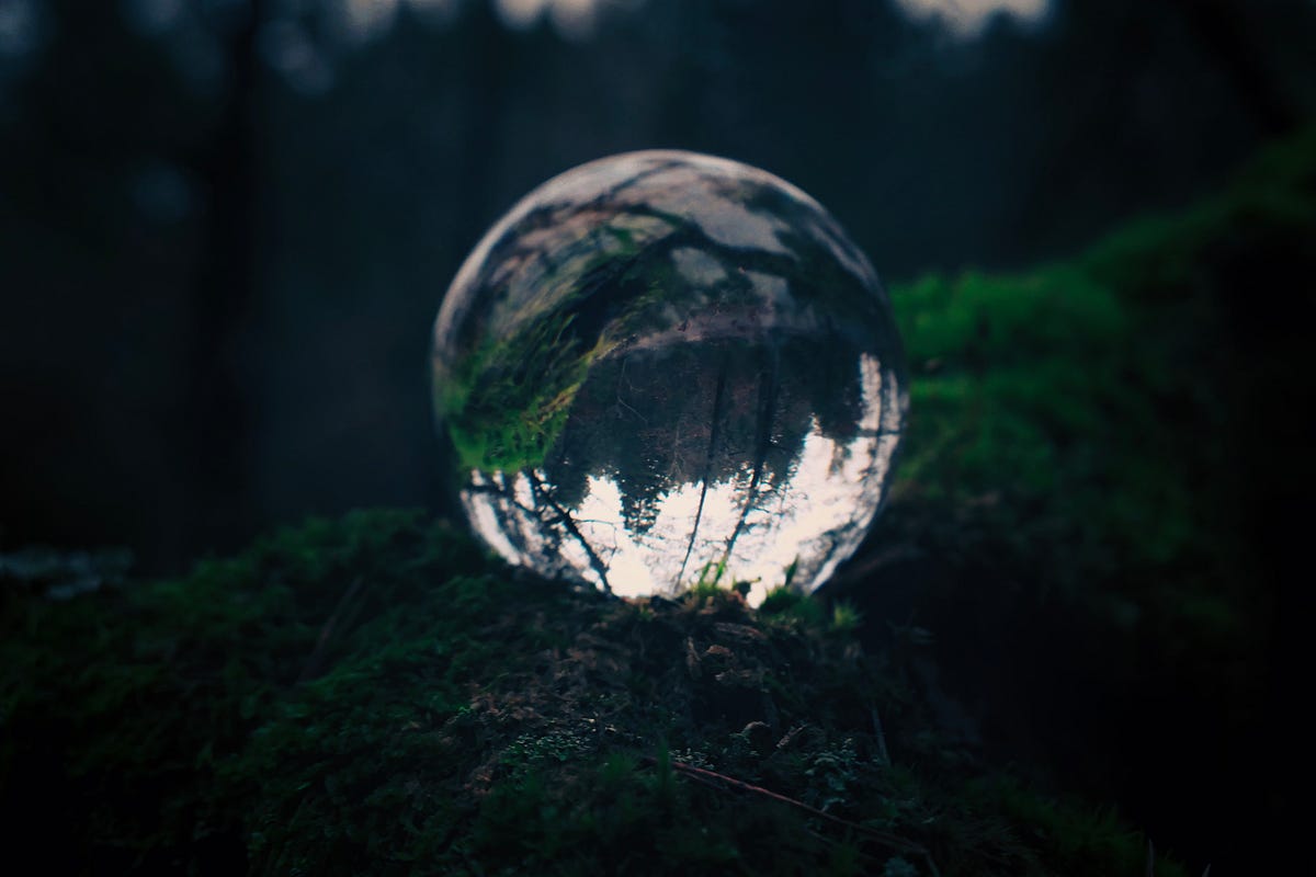 Don’t feel lost : 5 easy steps to become an eco warrior. | by Vidushi ...