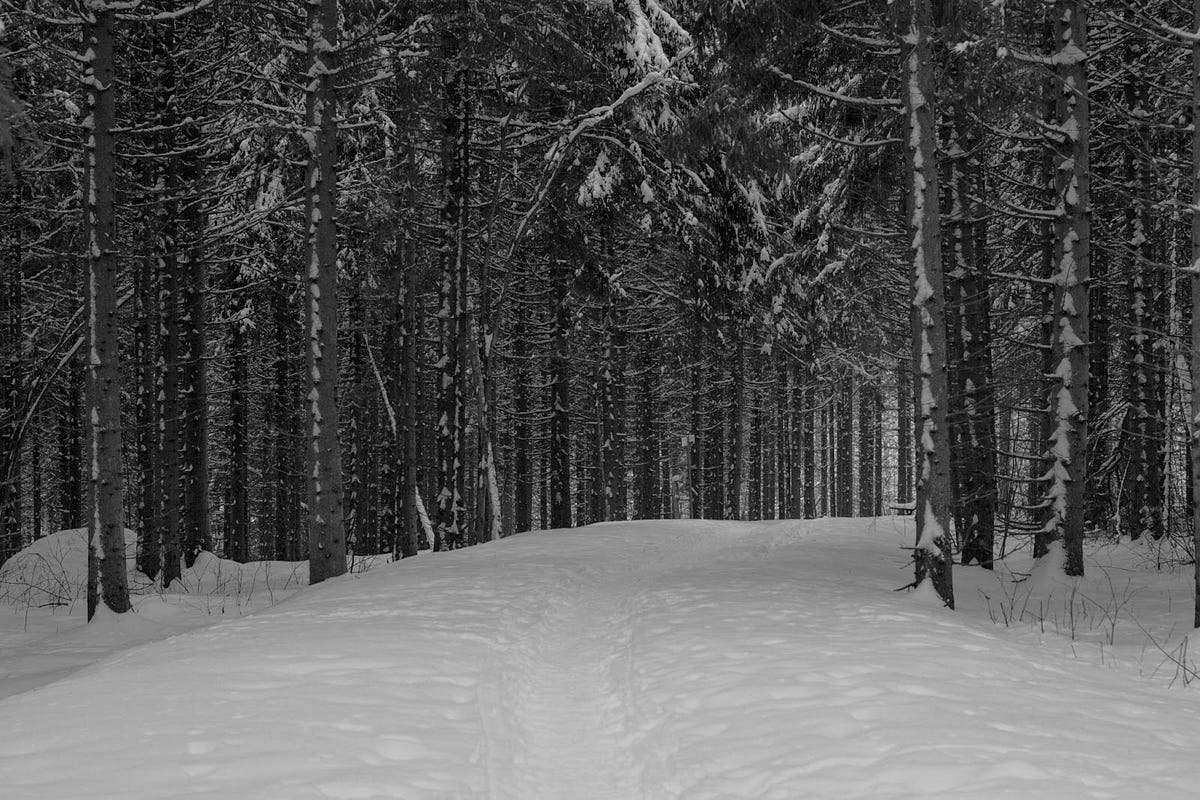The Sámi Peoples — A Case of Indigenous Erasure | by Sim | Nov, 2024 ...