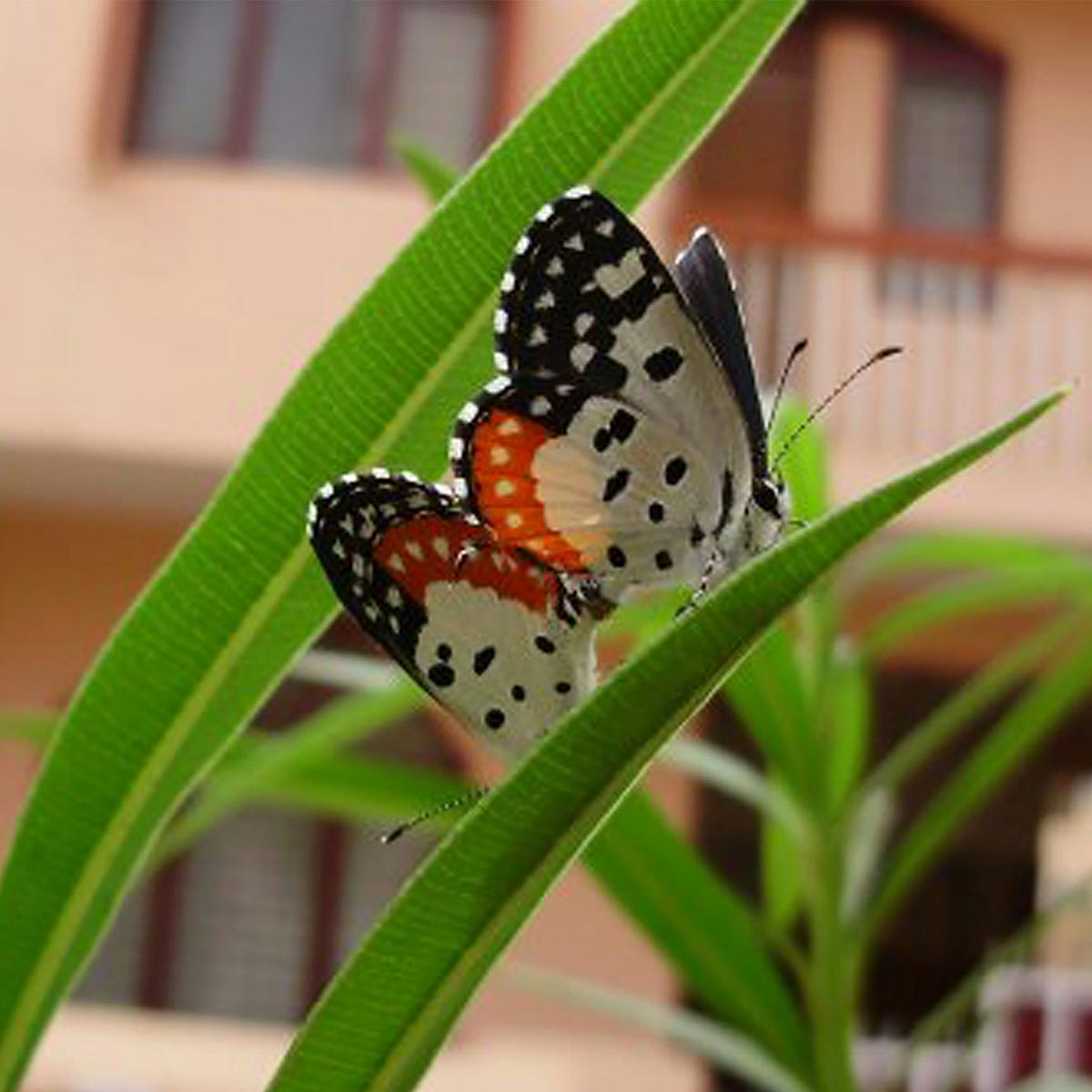 The Lesson Friendship Taught me: “Too Much is Never Good” — Part 2 | by Cs Divya | Pen With ...