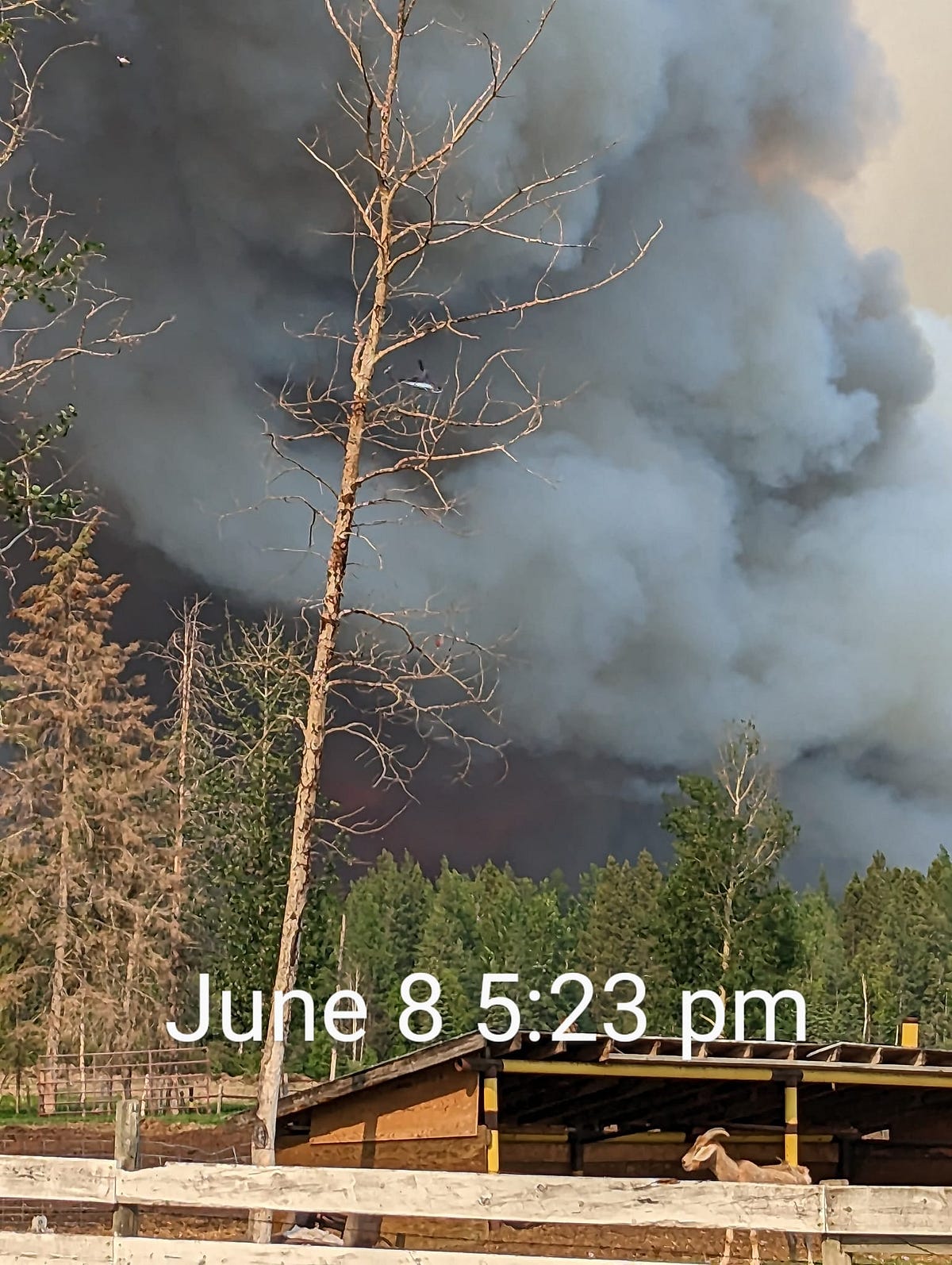 Wildfire Diaries ~ June 16th. We had a rather eventful few days here ...