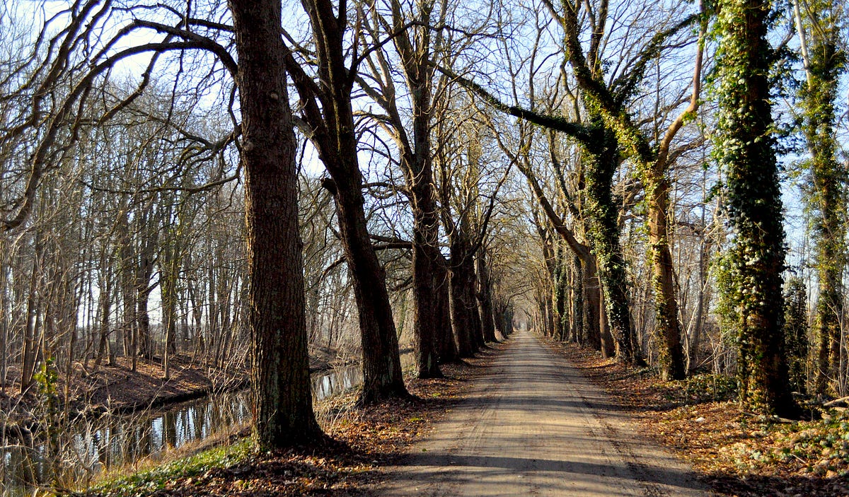 Patient Perseverance. Keeping New Year’s Resolutions | by Qadir Abdus-Sabur, Ph.D ...