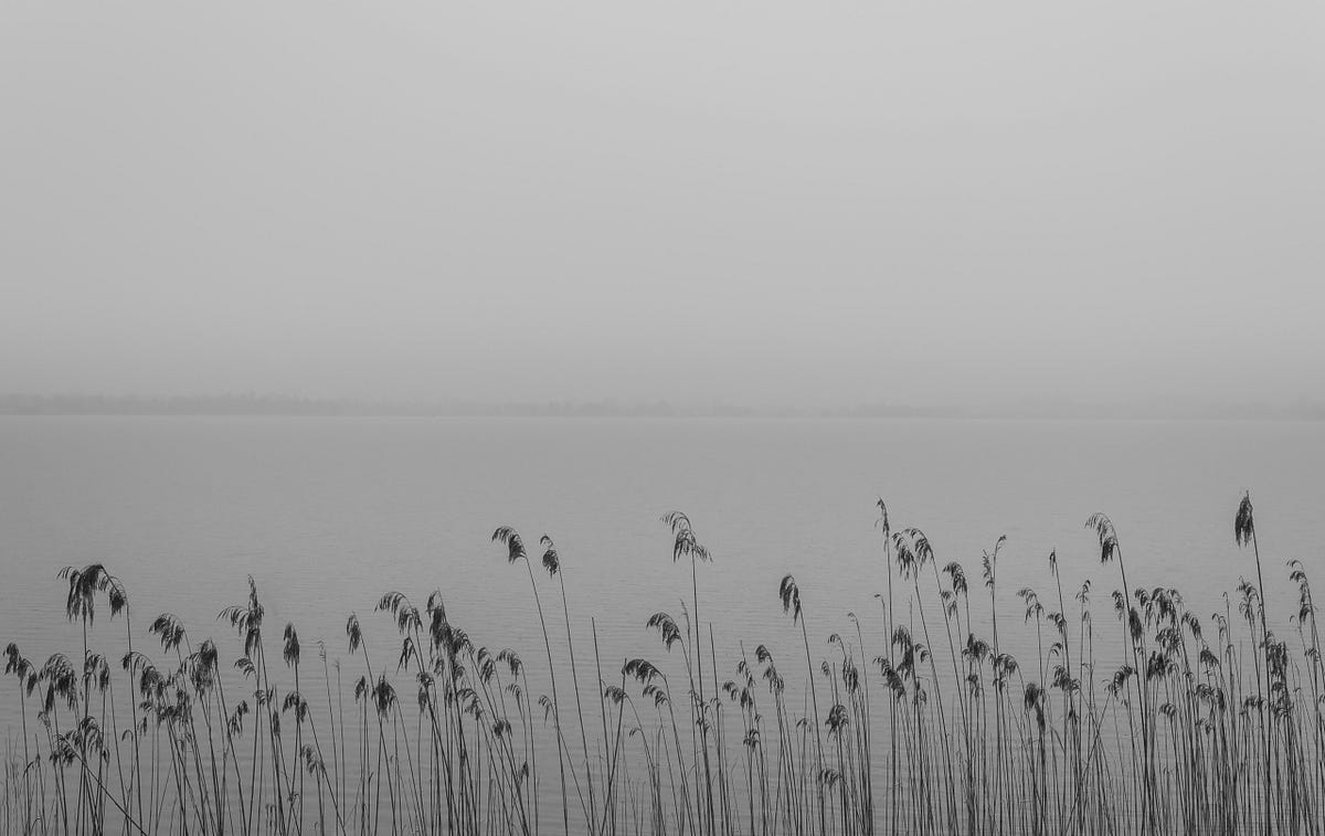 Funeral - The Lark - Medium