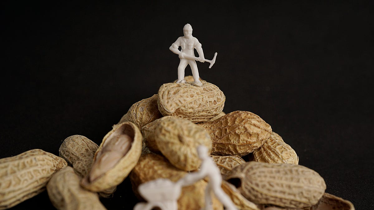 Why I Worked for Peanuts as a Freelancer on Fiverr | by Mark Allinson ...