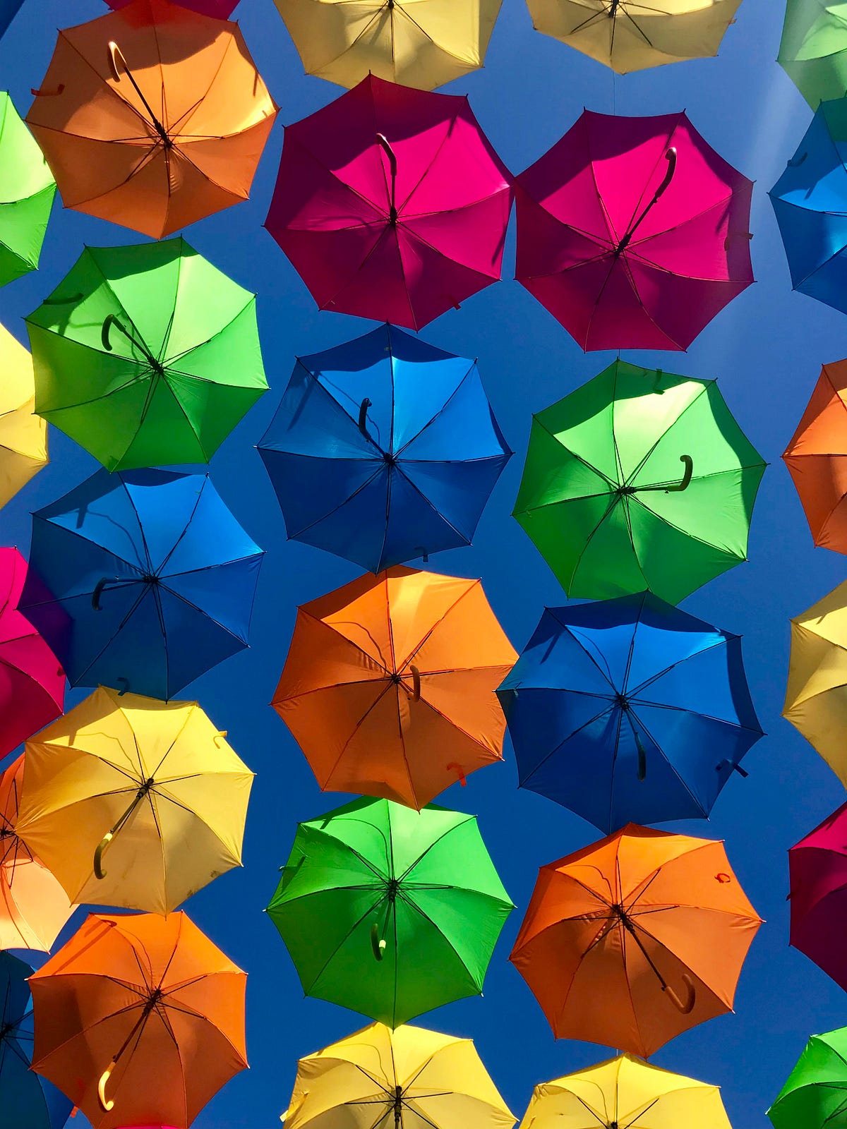 The Four Colors of People. and How to Connect With Each One | by ...