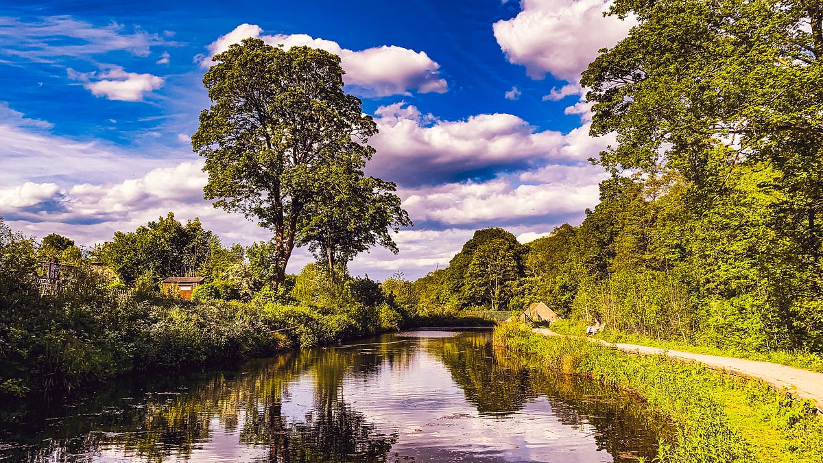 Journey Through Place. What environments enliven you? | by Channing Teele | Medium