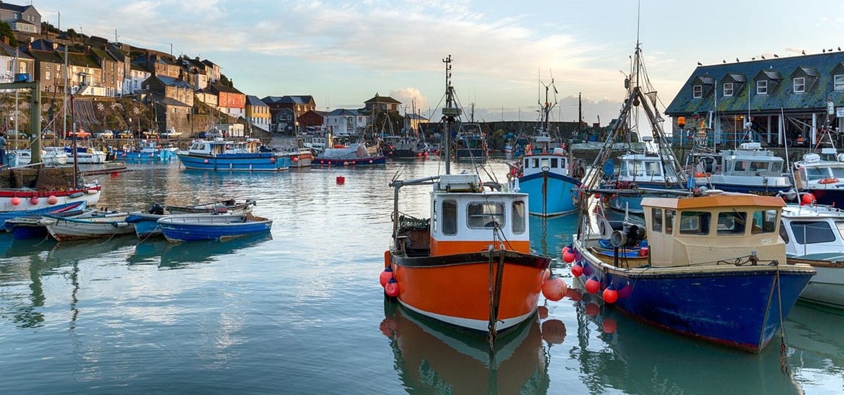 Our 9th investment: Procsea, the revolution of the B2B fish market | by ...