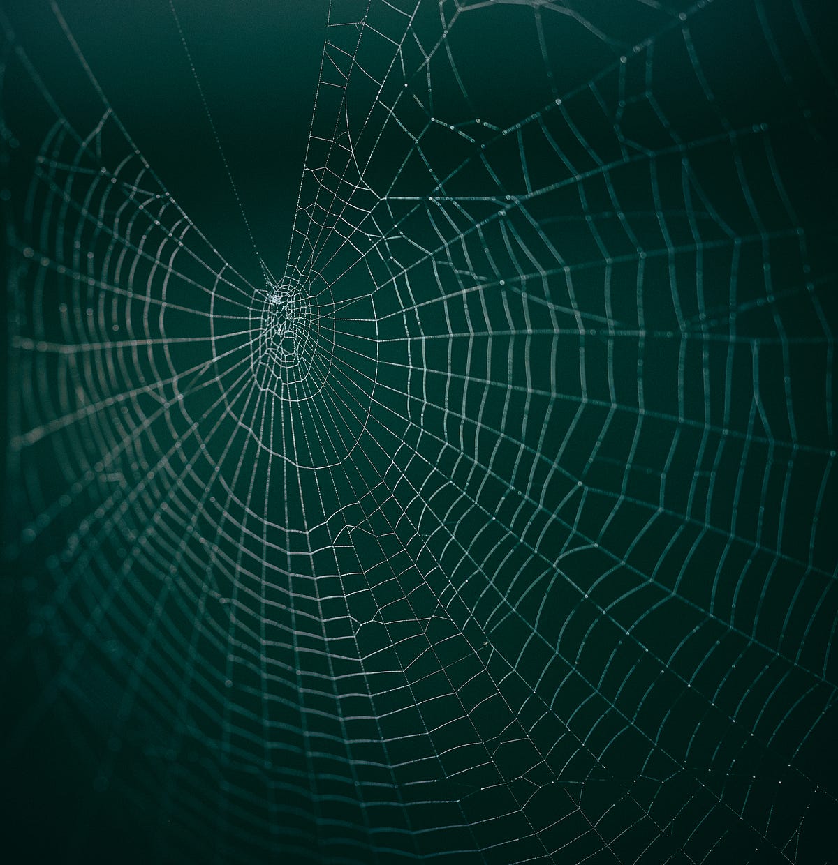 Scraping reddit with Scrapy.. New to scrapy? Build a spider that… | by ...