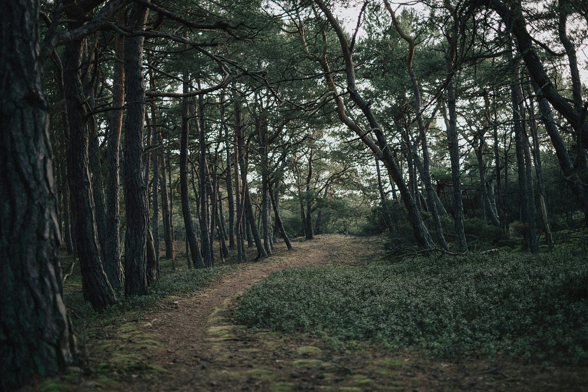 Nature Has A Way Of Humbling You. I went for trees, and came back with ...