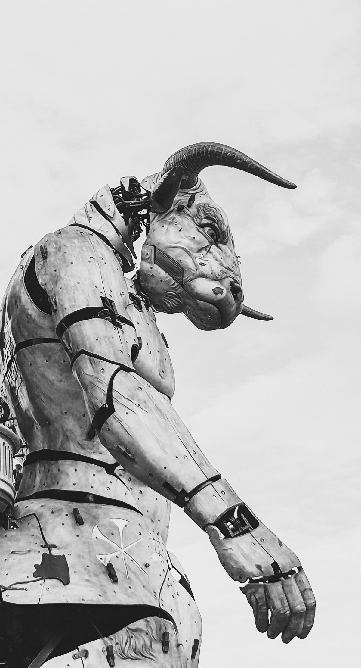 The Bull in the Maze. within the labyrinth | by Terry Ndubuisi | Medium