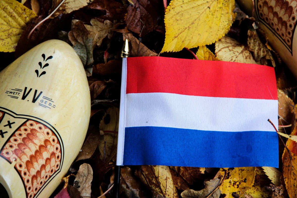 My Most Embarrassing Moments Learning Dutch | by Tracey Grove | Medium