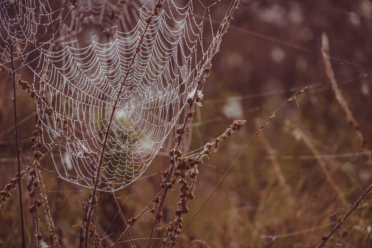 The Most Used Design Patterns in .NET Development | by Gustavo Restani ...