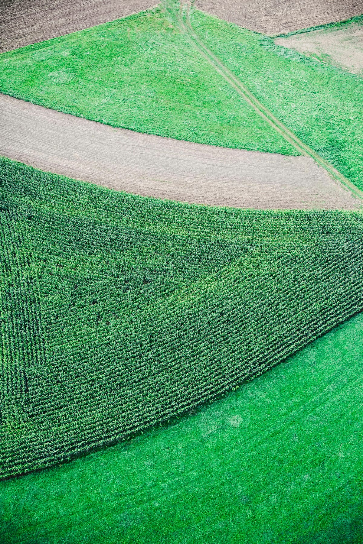Unlocking the Power of Cover Crops and Crop Rotation: A Firsthand ...