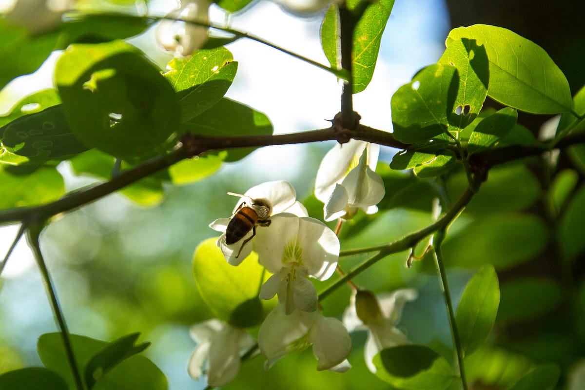 Améliorez votre quotidien : 2 astuces infaillibles pour réduire le stress | by Héloïse de ...