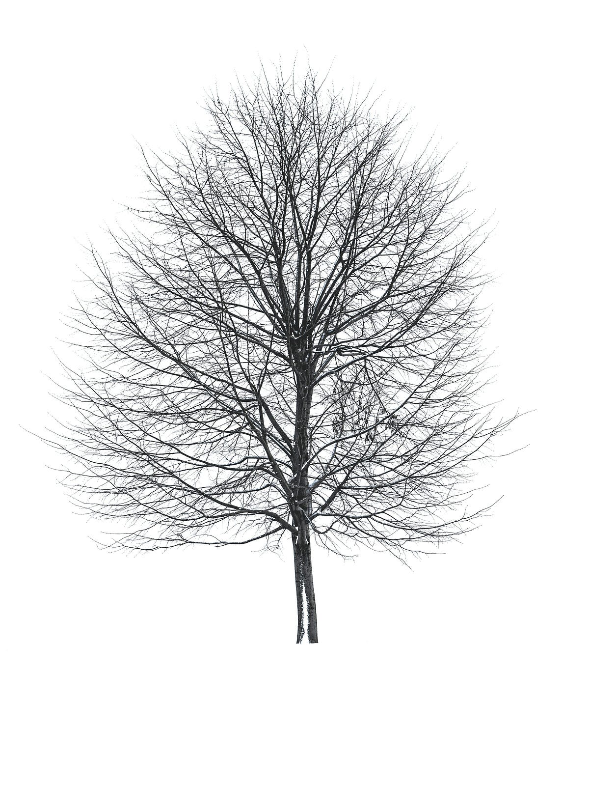 Solving the Invert Binary Tree Problem: Breadth-First Search vs. Depth ...