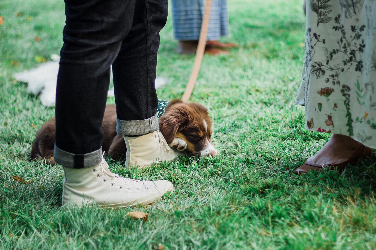 [JavaScript] 型別系統 — Primitive & Object/Reference Type | by Anin Huang ...